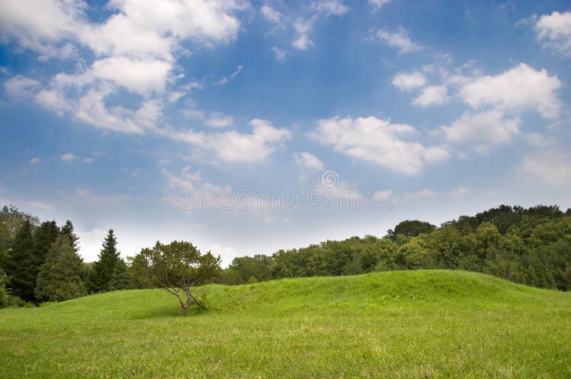 Meadow landscape stock image. Image of field, nature - 15500849