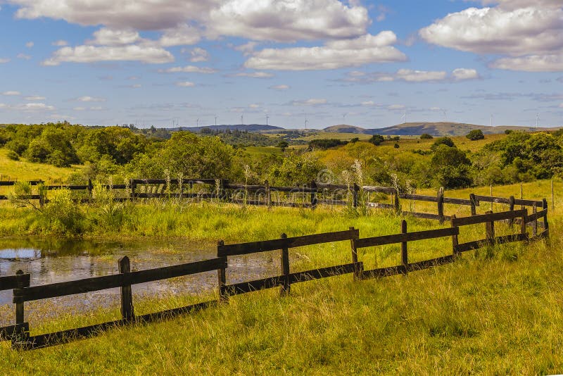 Meadow landscape scene stock image. Image of grass, sunny - 254772973