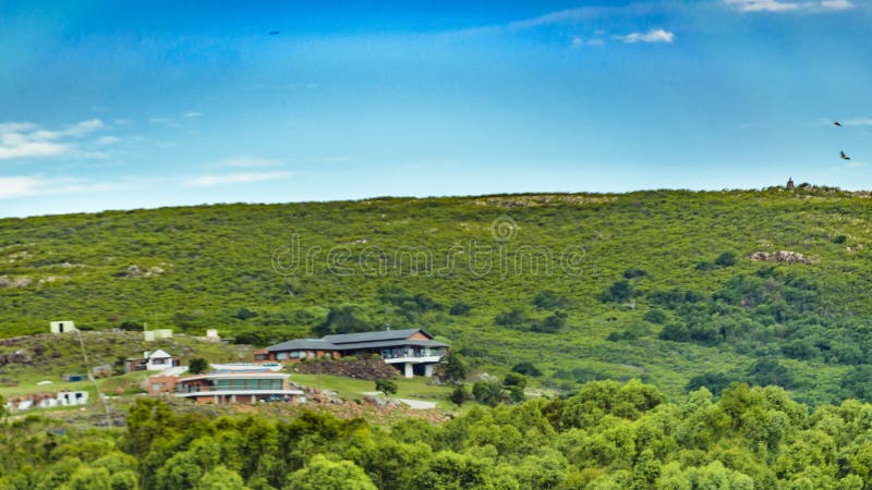 Meadow Landscape Scene stock photo. Image of panorama - 101731664
