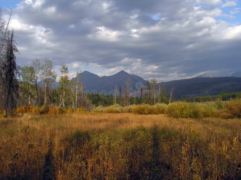Meadow, Marsh and Mountains Stock Image - Image of aspen, brush: 3218949