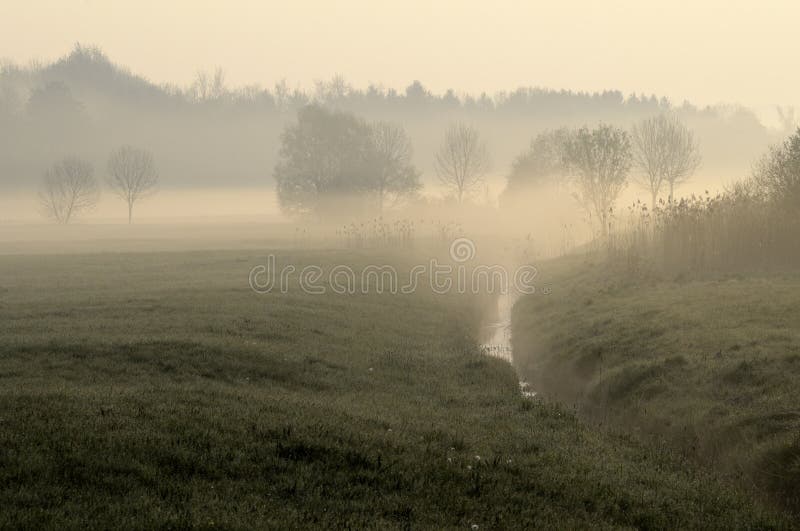 Meadow in morning mist stock photo. Image of early, field - 19406922