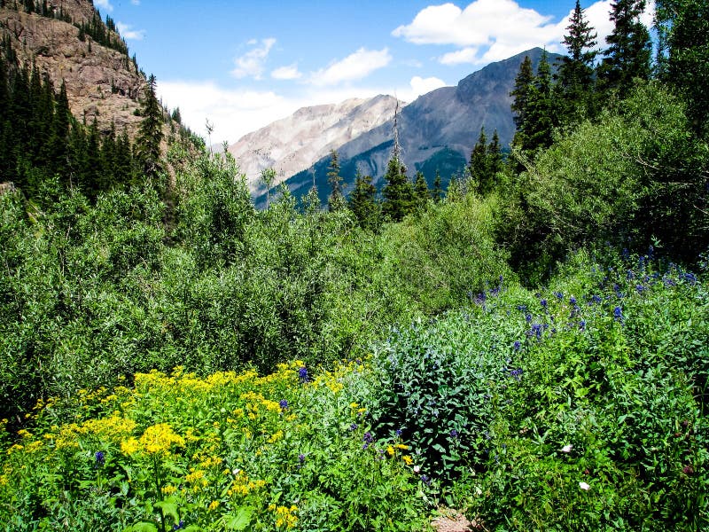 Meadow with Mountain Backdrop Stock Image - Image of scenery, mountain ...
