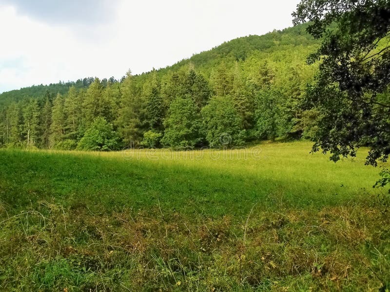 Meadow in Mountains Separated Shadow Stock Image - Image of area, sunny ...
