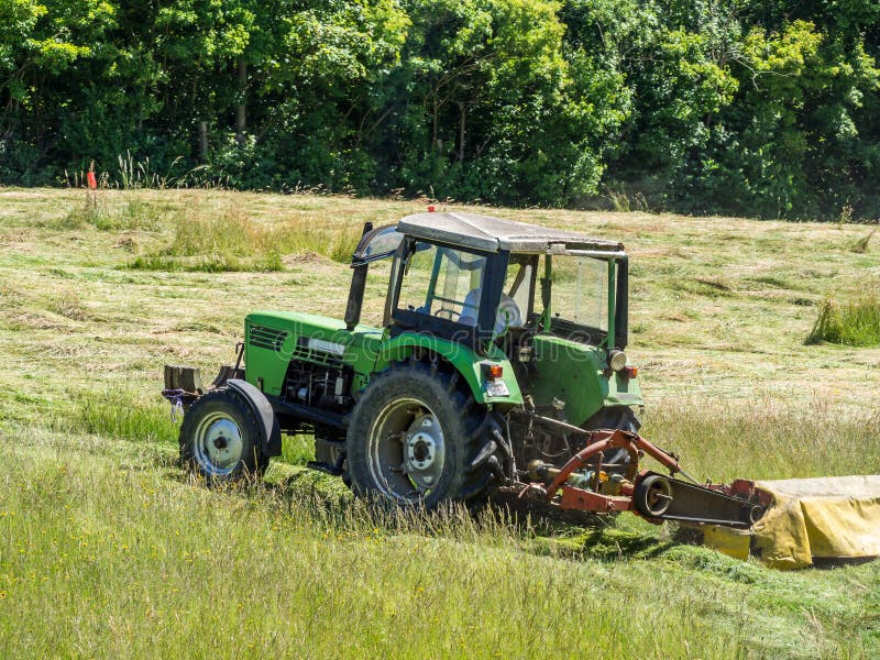 Meadow is Mowed Agriculture Field Stock Image - Image of mowed ...