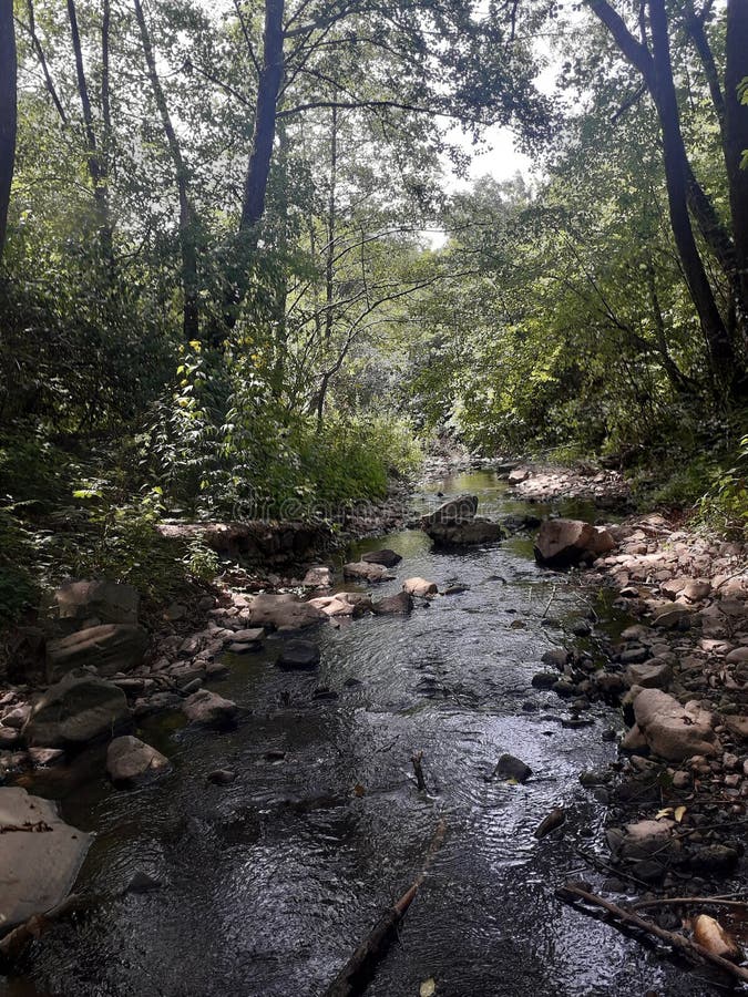 160 Google I Images Stock Photos - Free & Royalty-Free Stock Photos ...