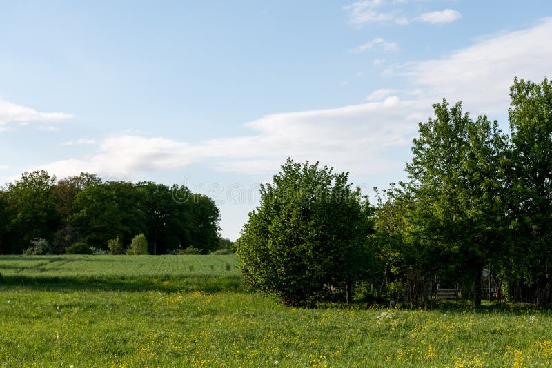 Meadow Orchards in Late Spring Time in Germany Stock Photo - Image of ...