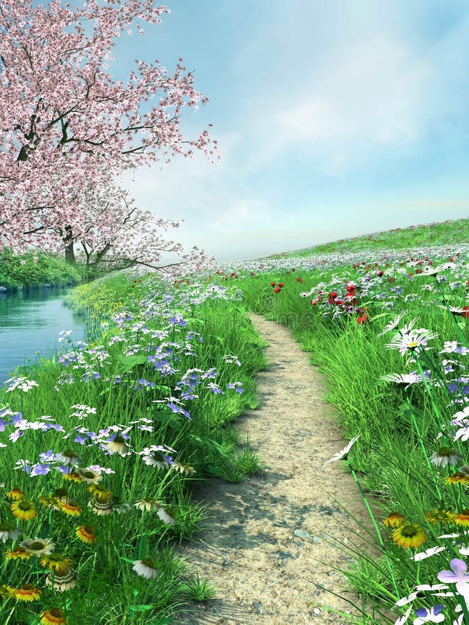 Meadow path stock illustration. Illustration of cherry - 19009029