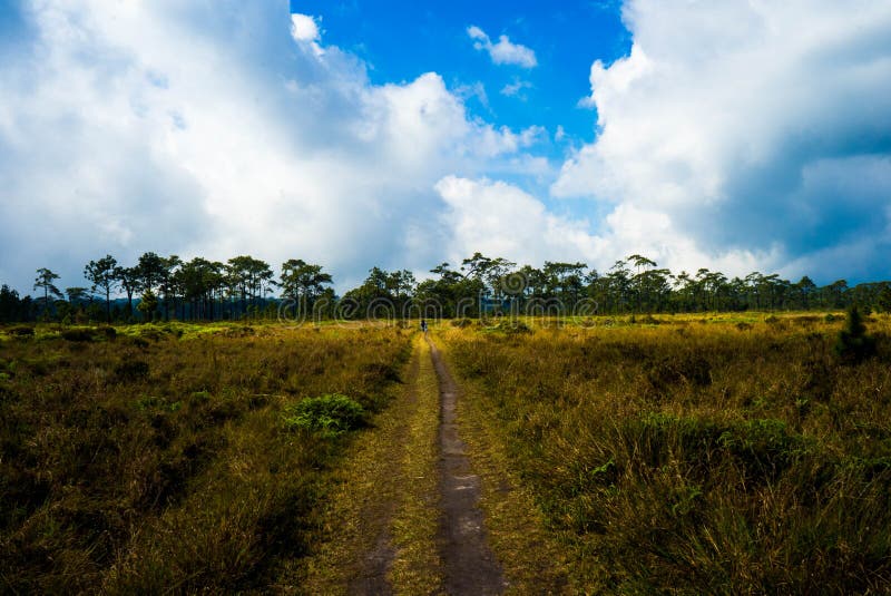 Meadow Path with Blue Sky and Cloud,Phu Kradueng National Park ...