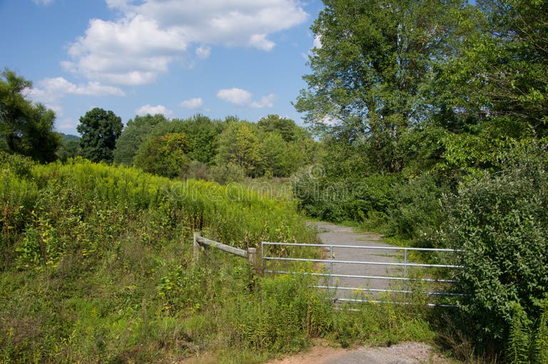 Meadow Path stock photo. Image of wildflowers, trail - 43978896