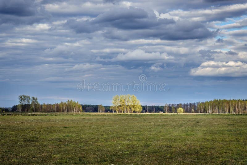 Meadow in Poland stock image. Image of masovia, natural - 191787171