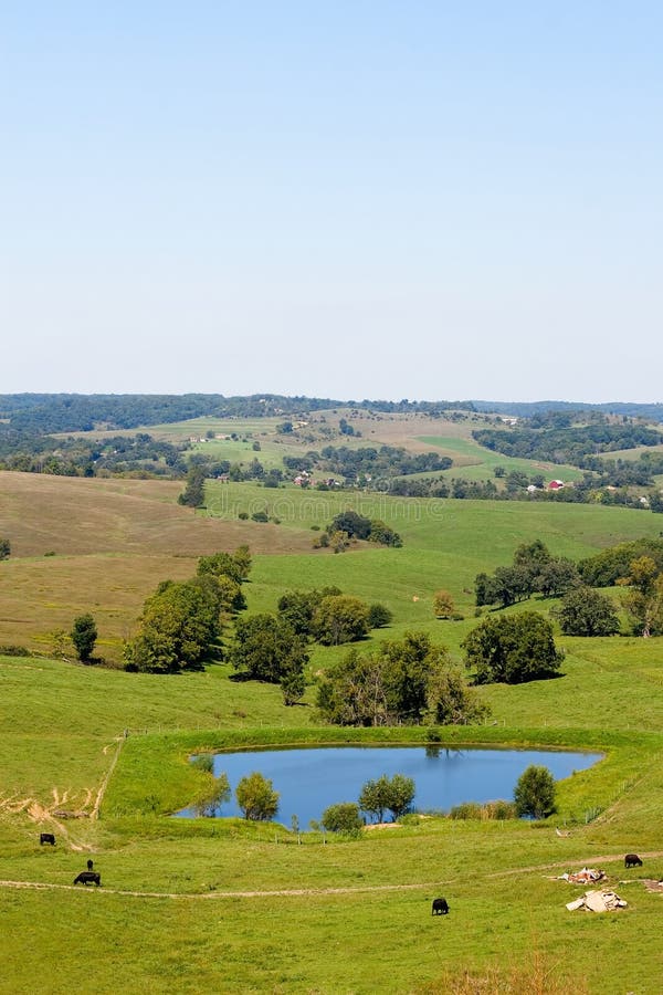 Meadow with pool vertical stock photo. Image of green - 4081998