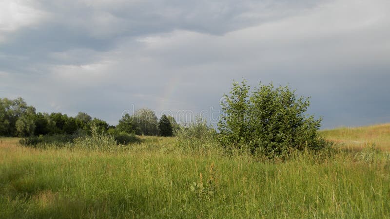Meadow after rain stock photo. Image of visible, meadow - 97898840