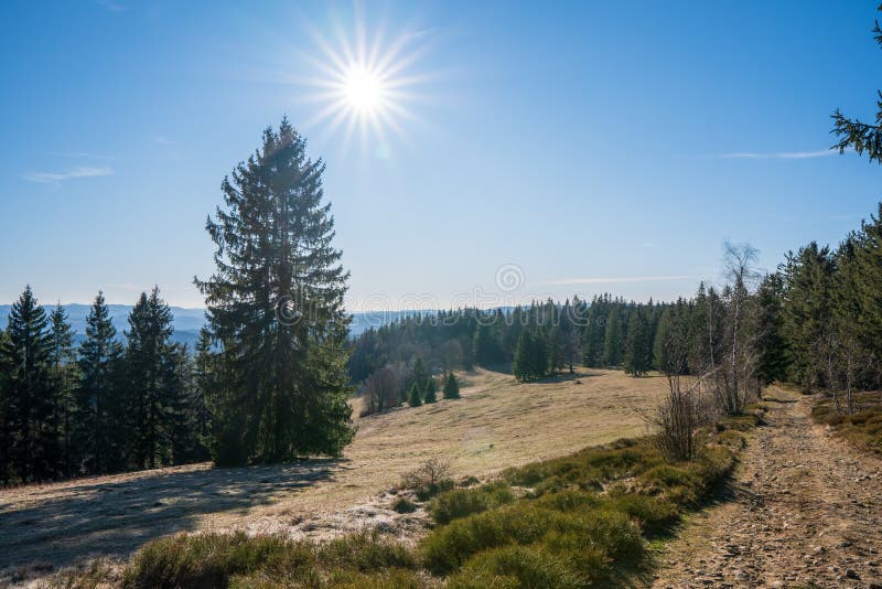 Meadow on Ridge with Trees and Sun Over Ridge Stock Image - Image of ...