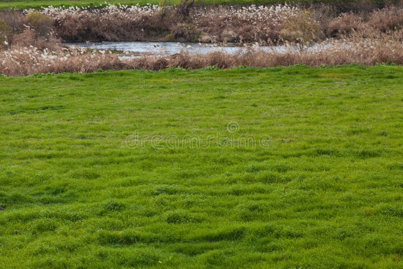 Meadow and River in Early Spring Stock Image - Image of beautiful ...