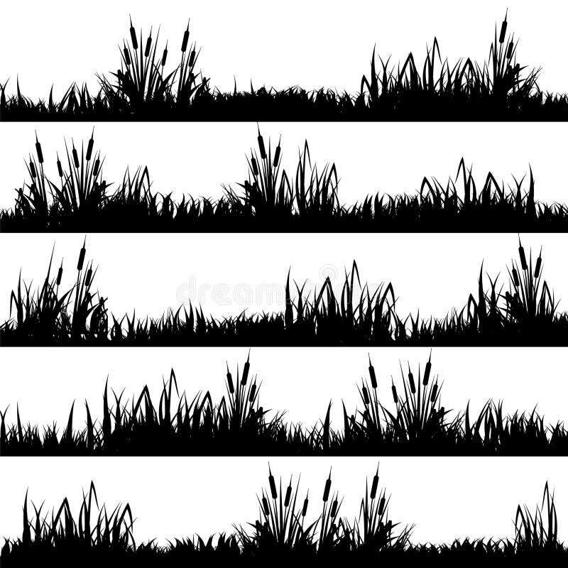 Meadow Silhouettes with Grass, Plants on Plain. Panoramic Summer Lawn ...