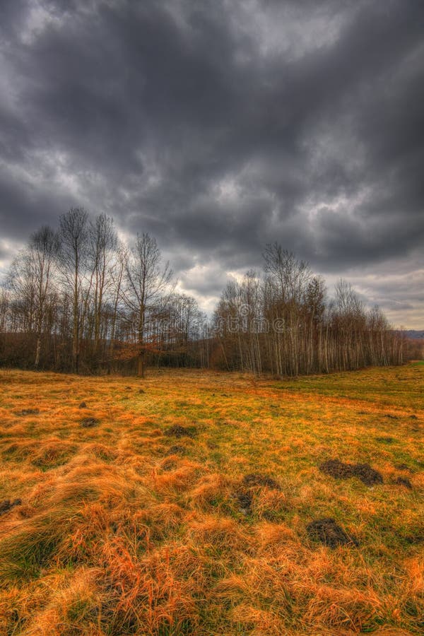 Meadow and Small Forest Under Dramatic Sky at Early Spring Stock Image ...