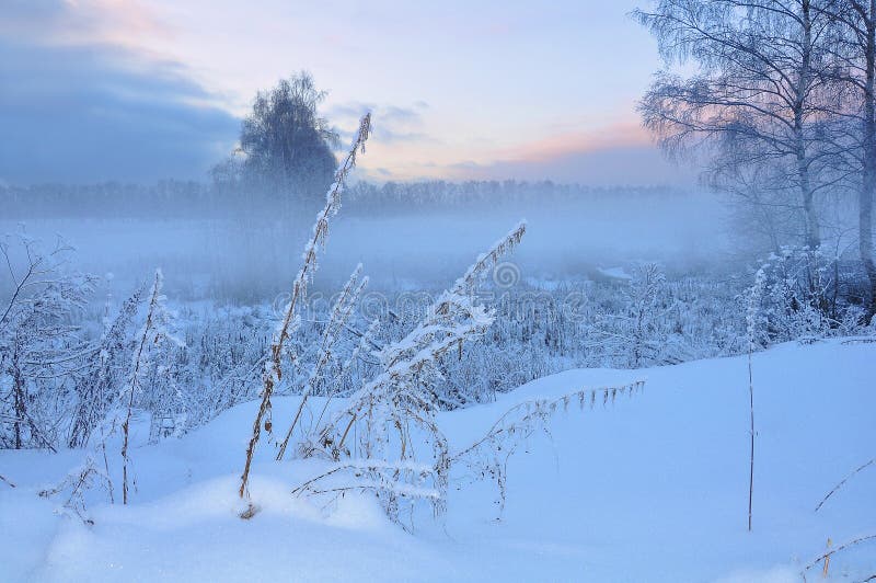 Meadow after the Snowfall at Sunset Time Stock Photo - Image of ...