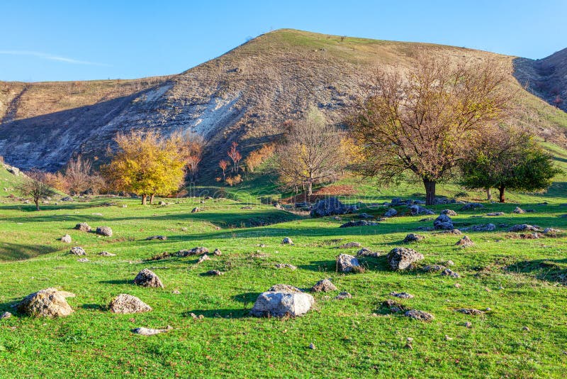 Meadow with stones stock image. Image of outdoors, mountains - 213086071