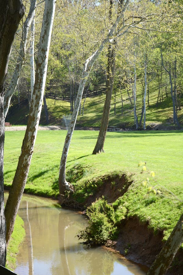 Meadow with stream stock image. Image of grass, trees - 53477193