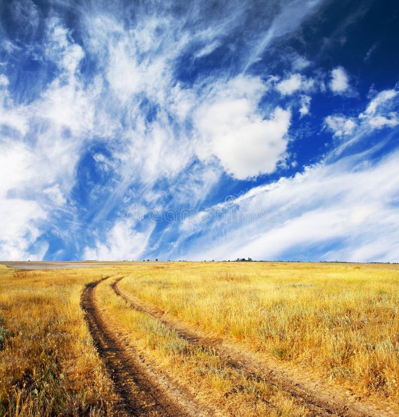 Meadow stock photo. Image of ecology, color, heaven - 243231142