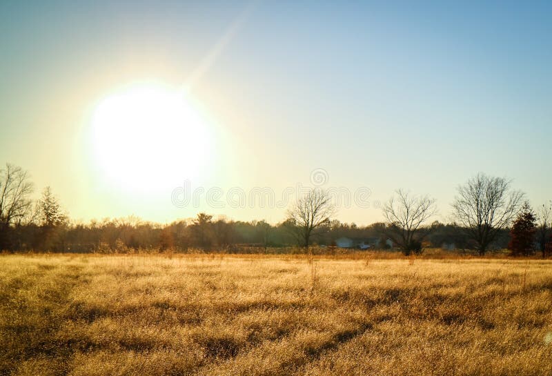 Meadow and sun stock photo. Image of door, leaves, home - 83569754