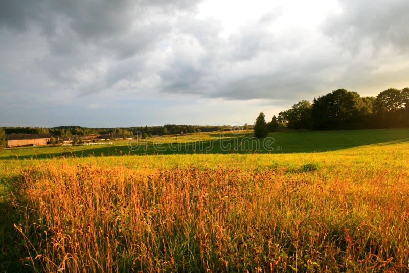 Meadow at Sunset stock photo. Image of peaceful, chaparral - 29599904