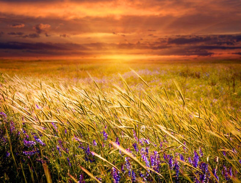 Pklimenko - Photographer profile