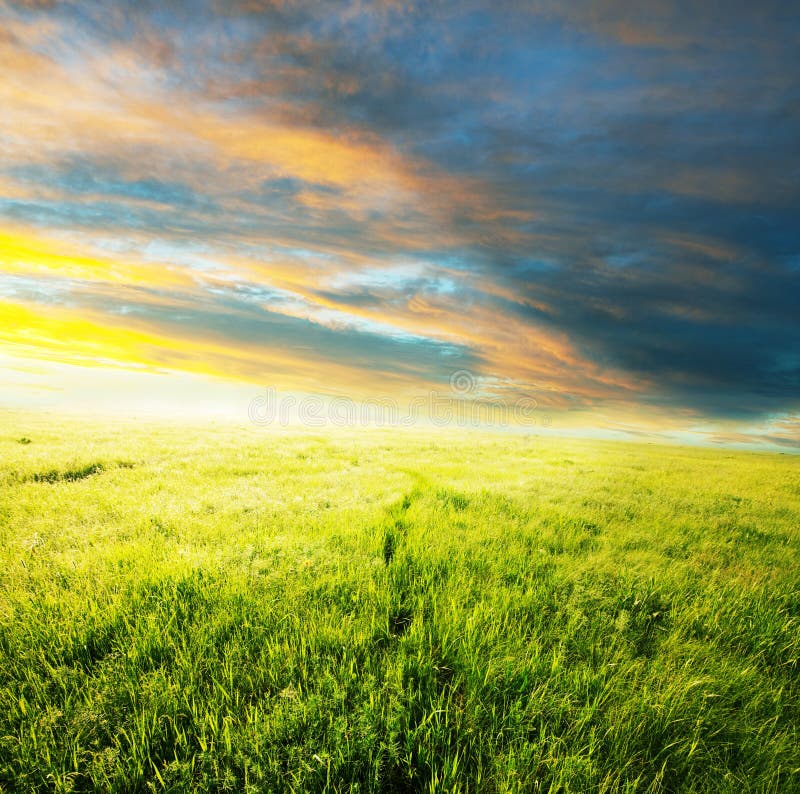 Meadow on sunset stock image. Image of grassland, sunrise - 54179579