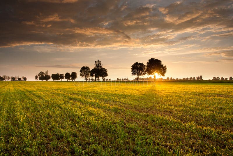 Meadow sunset stock image. Image of nature, sunny, rural - 36775181