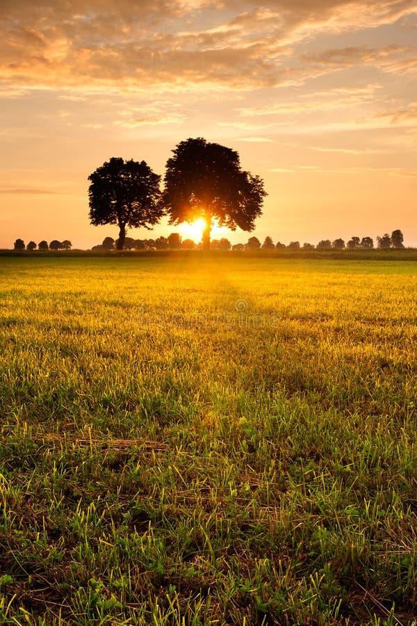 Meadow sunset stock image. Image of nature, sunrise, beautiful - 36775183