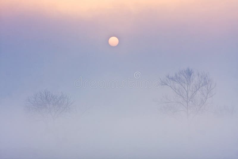 Meadow at Sunset with Sun and Mist Stock Photo - Image of park, beauty ...