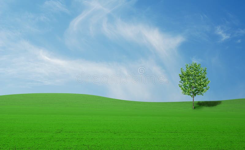 Meadow with tree stock image. Image of clear, beauty, color - 7915269