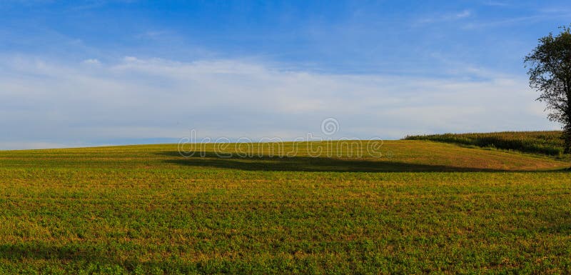Meadow with Tree Shadow in Farmland Area Daytime Summer Stock Photo ...