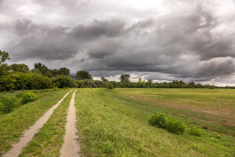 Meadow, Trees and Bushes with a Dramatic Stormy Sky. Climate Change ...