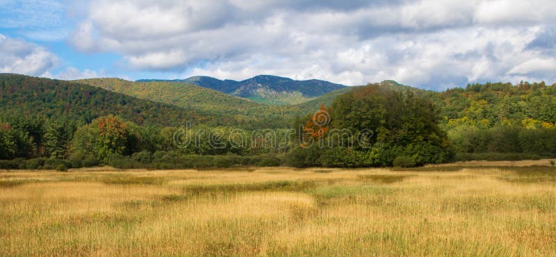 Meadow with Trees and Mountains Stock Photo - Image of forest, leaves ...