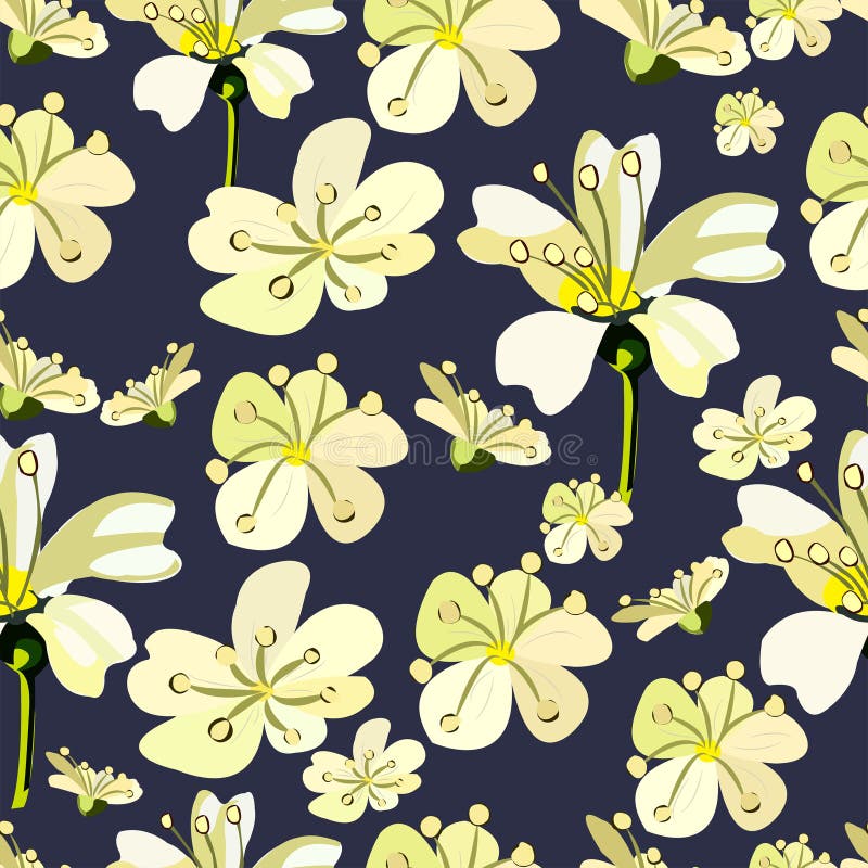 Meadow Vector Pattern Flowers Gypsophila Graphic Design Pattern on a ...