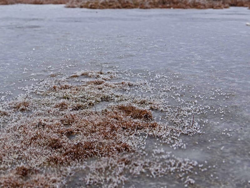 Meadow which in stock image. Image of winter, month - 169763083