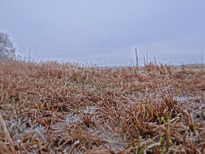 Meadow which in stock photo. Image of meadow, winter - 169763006