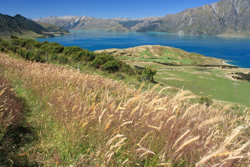Lake Hawea, New Zealand stock image. Image of glacial - 13510071