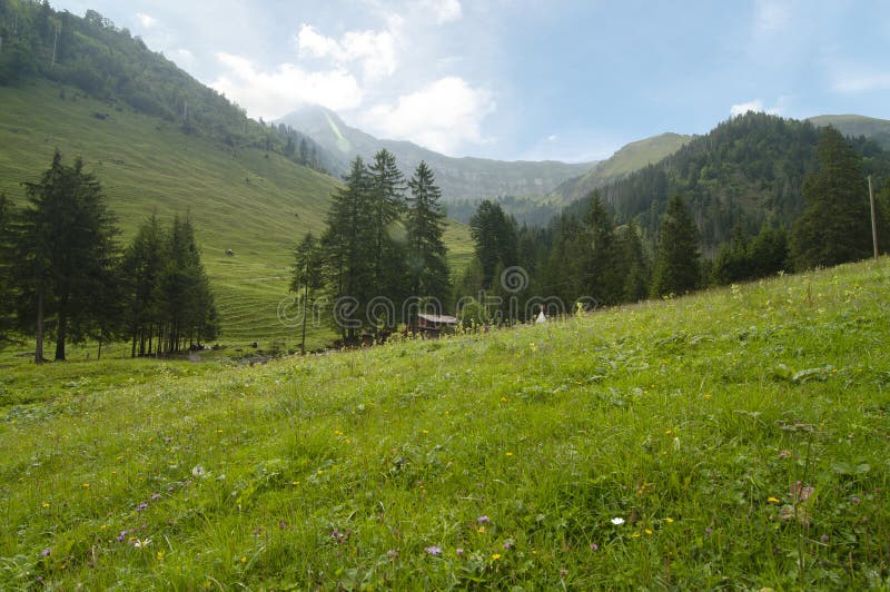 Meadows in the alps stock image. Image of hiking, alps - 189515213