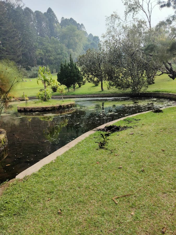 102 Teletubbies Park Stock Photos - Free & Royalty-Free Stock Photos ...