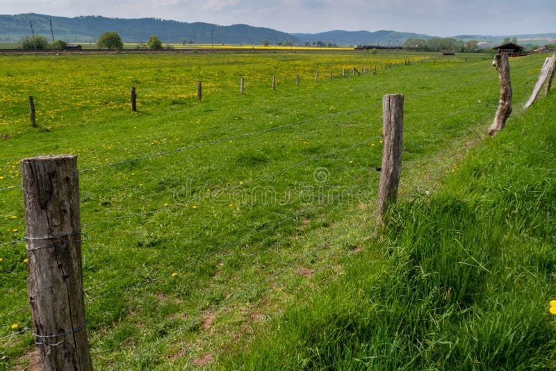 Meadows and Fields in the Countryside Stock Image - Image of meadow ...