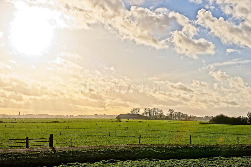 Meadows and Fields in Netherlands Stock Image - Image of green, grass ...