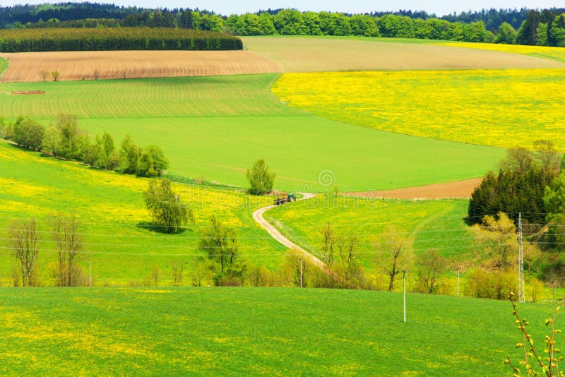 Lush fields stock photo. Image of meadow, scenics, crop - 54086868