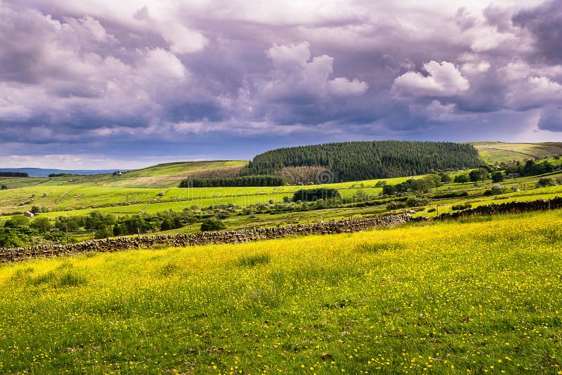 Meadows and Fields West Pennine Moors Stock Image - Image of downs ...