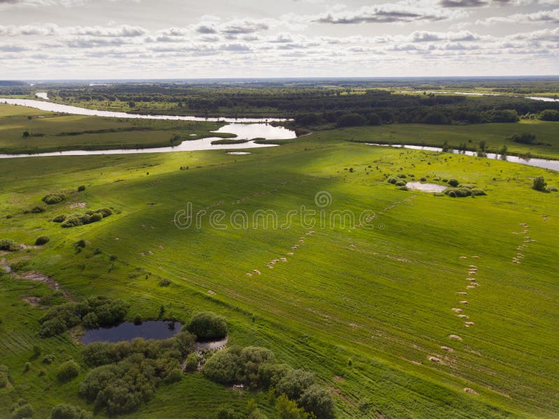 Meadows in Floodplain of Oka River Stock Photo - Image of location ...