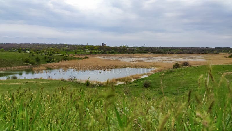 Meadows and Forests Landscape with Cloudy Sky Stock Photo - Image of ...