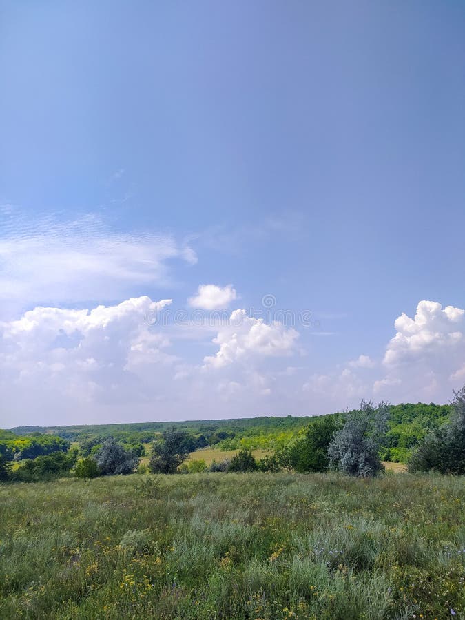 Meadows and Forests Landscape with Cloudy Sky Stock Photo - Image of ...