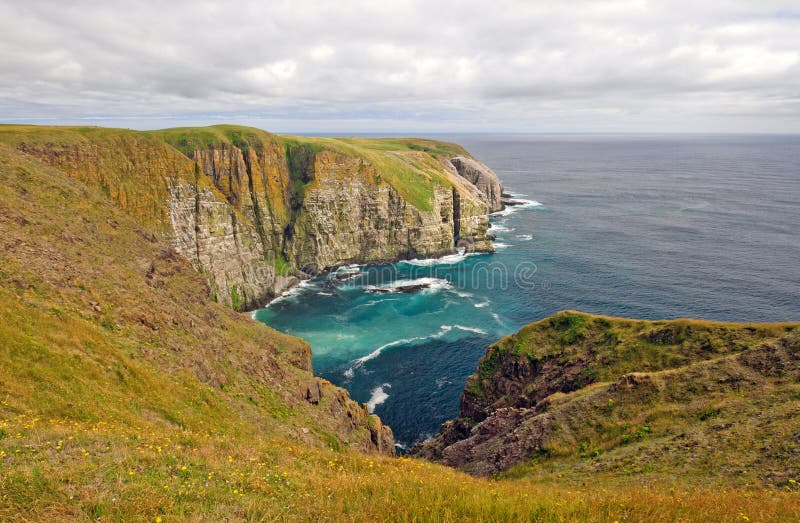 Meadows and Ocean Cliffs stock image. Image of wild, newfoundland ...