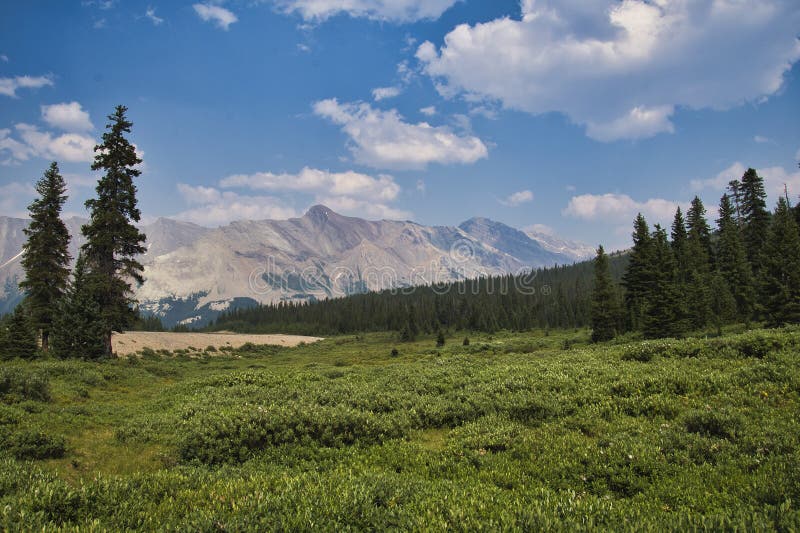 The Meadows of Parker Ridge. Columbia Icefield Area AB Canada Stock ...